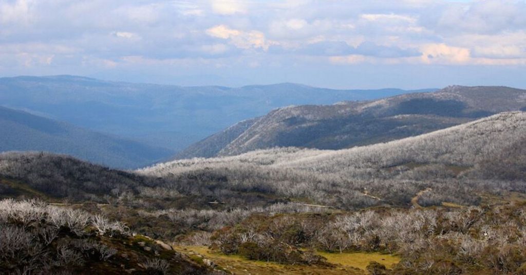 Alpine High Country Walking Tours | 4 Days - Victorian Alps