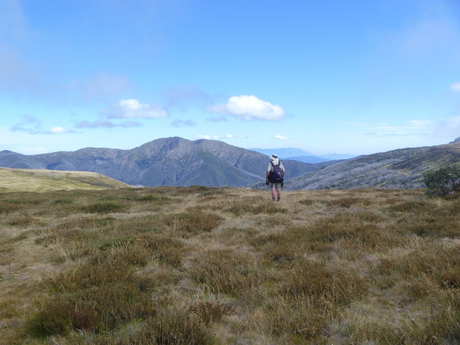 Alpine High Country Walking Tours | 4 Days - Victorian Alps