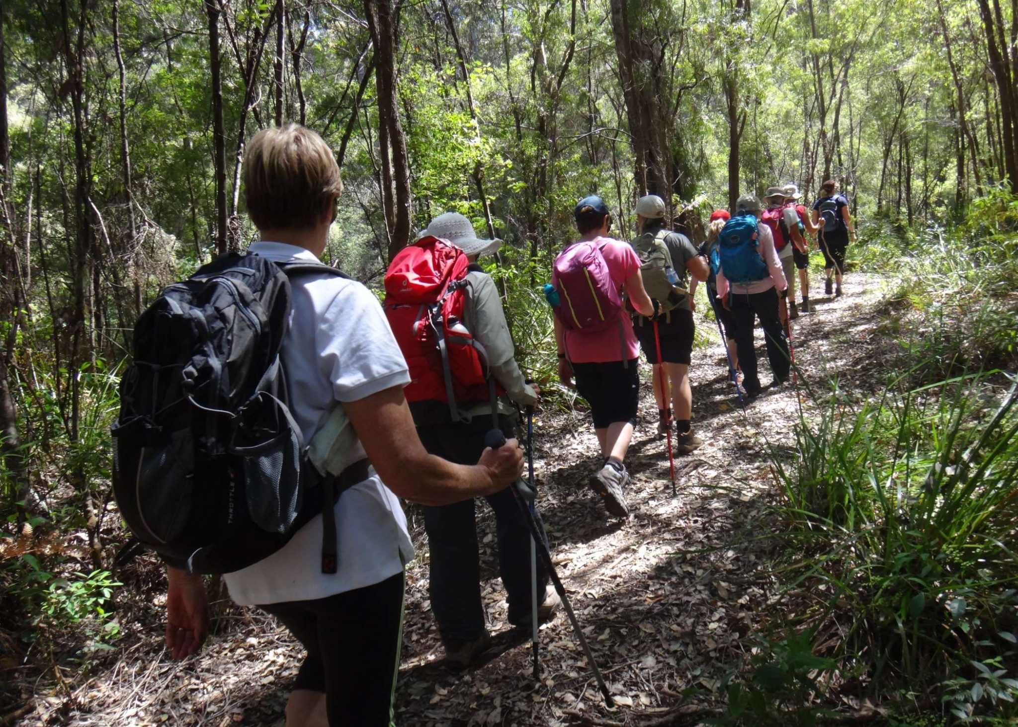 Walking tours | Park Trek