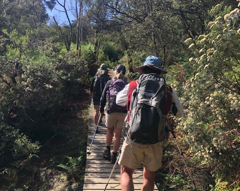 An Awe-inspiring Walk on the Beautiful Three Capes Track | Park Trek
