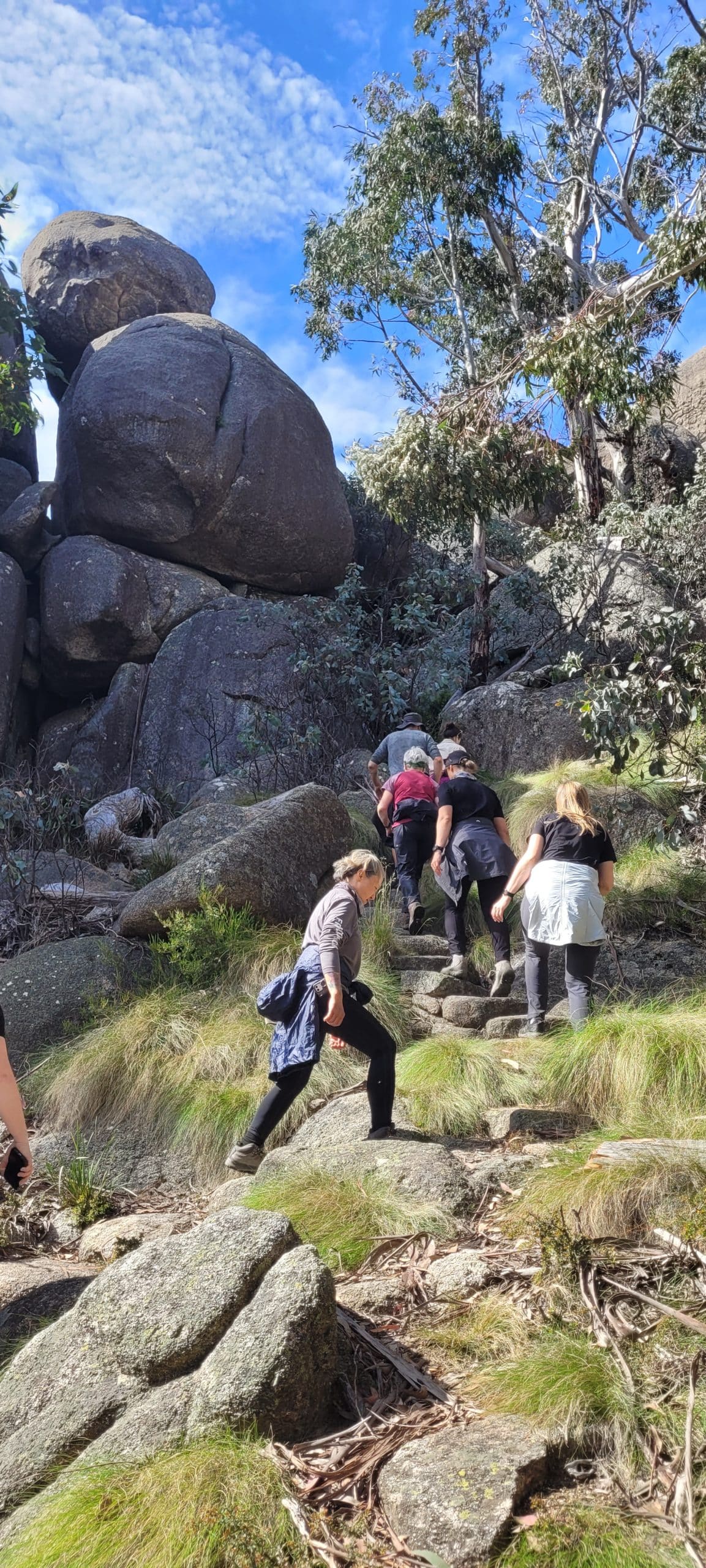 Alpine High Country Walking Tours | 4 Days - Victorian Alps