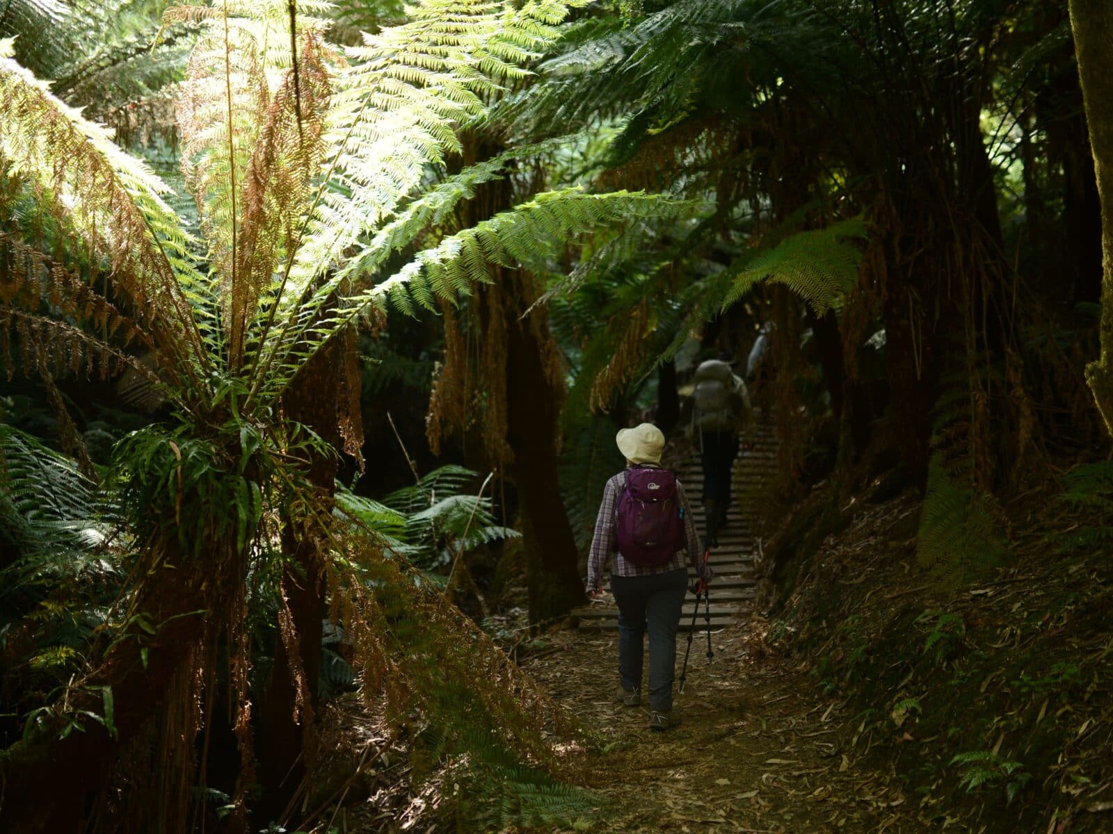 Ecotourism| Park Trek Wins 2025 Victorian Ecotourism Award