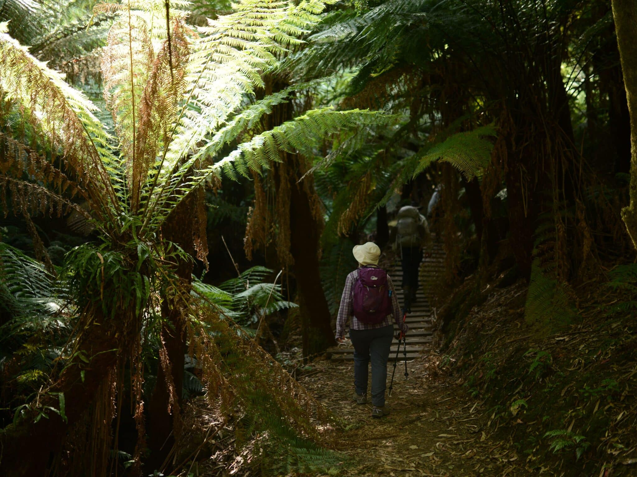 Ecotourism| Park Trek Wins 2025 Victorian Ecotourism Award